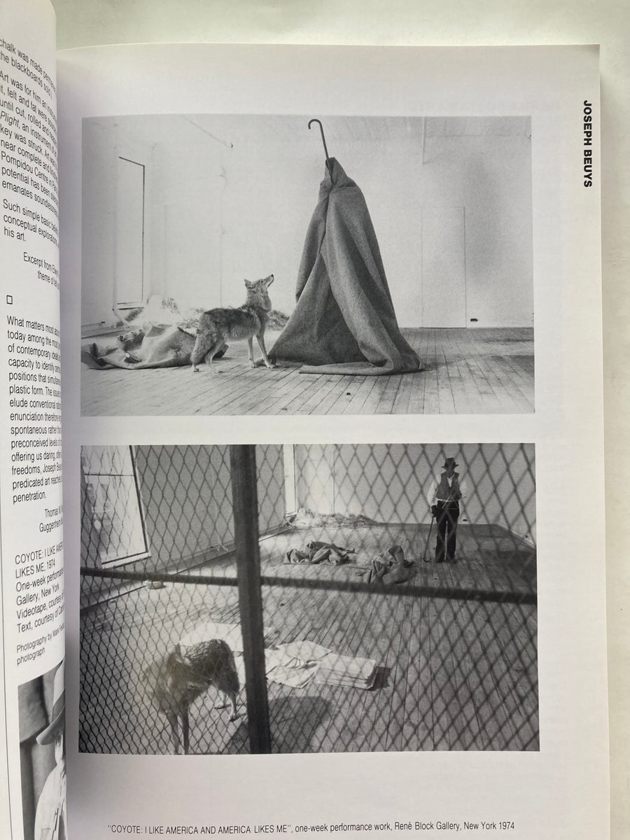 Origins Originality + Beyond: Sixth Biennale of Sydney by Nick Waterlo ...