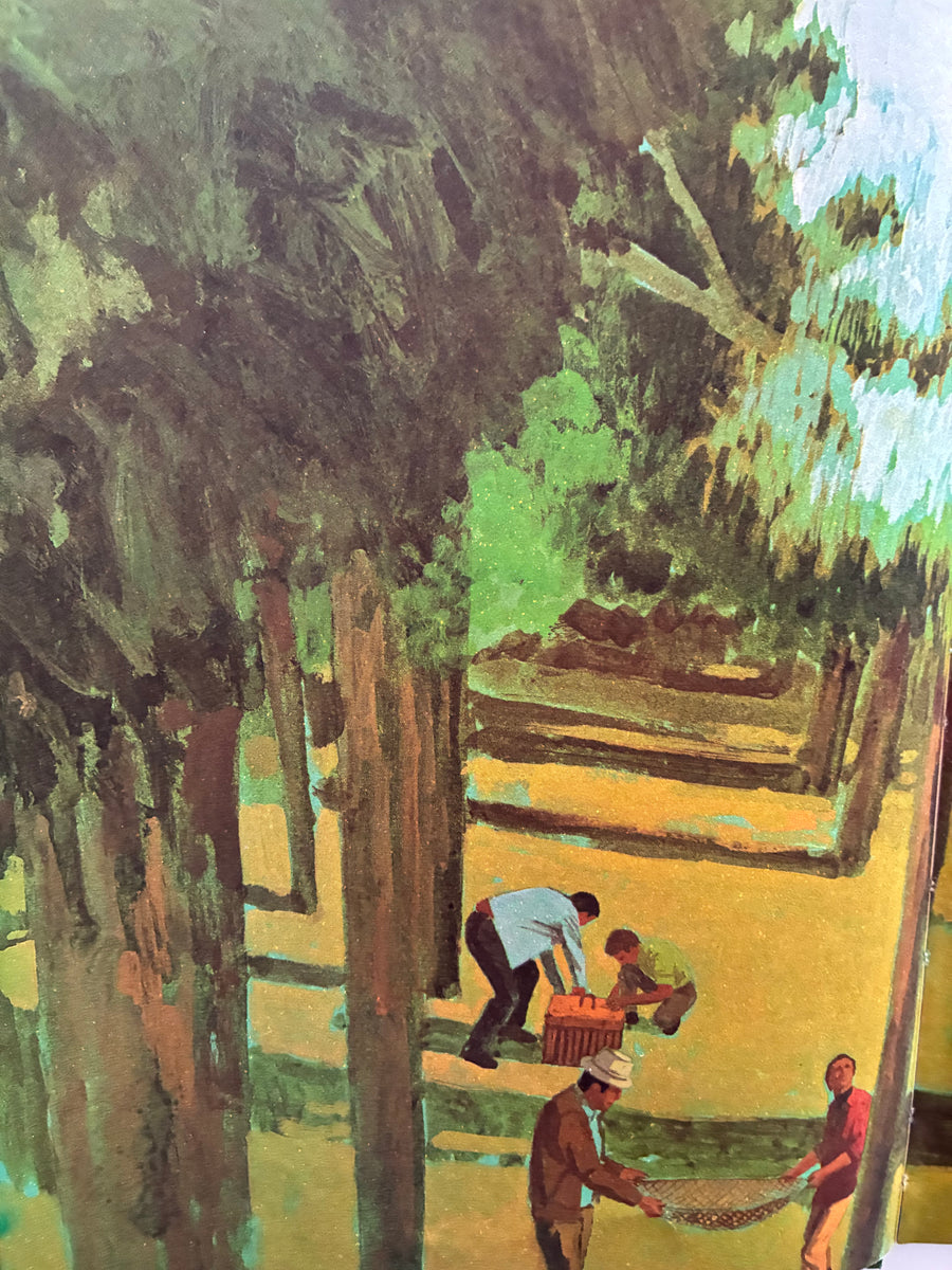 Kolo, the bush koala by Jill Morris – Golden Bowl Books. ABN 52945172945