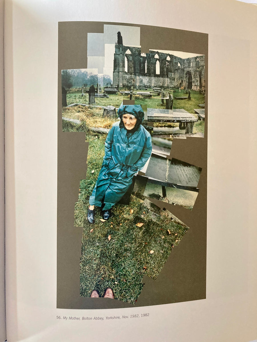 David Hockney Portraits by Sarah Howgate and Barbara Stern Shapiro ...